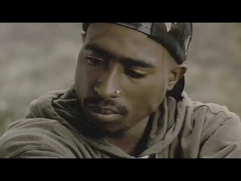 thatsmypoetry.wav - S T A Y M I G H T Y | Produced by Delrokz