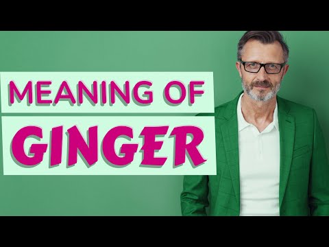 Ginger | Meaning of ginger