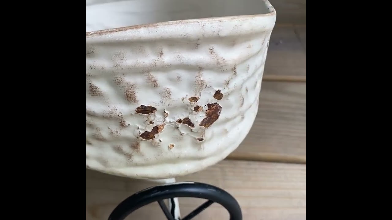 Miniature Acorn Bicycle