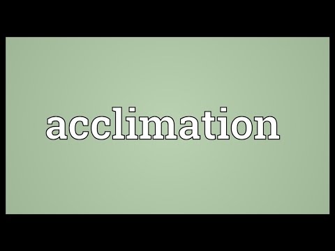 Acclimation Meaning