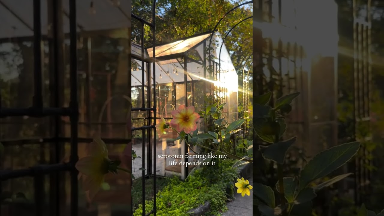 The internet is scary, look at this pretty flower 🥺 What are you doing to farm serotonin these