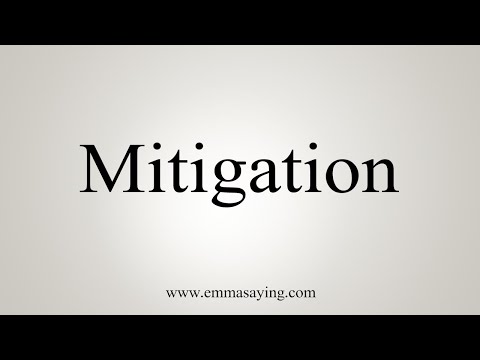 How To Say Mitigation
