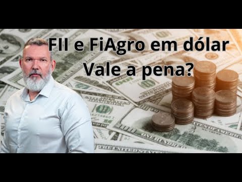 Real Estate Fund in Dollars: Is it worth it?