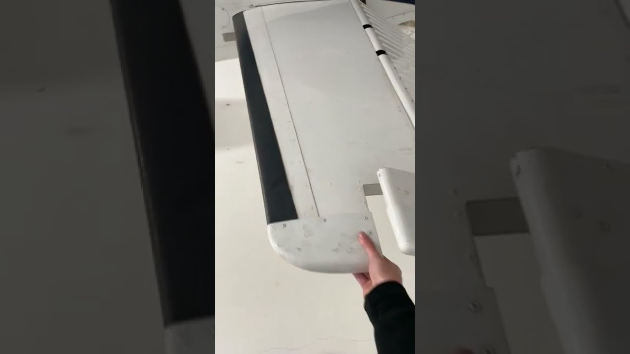 Stabilator