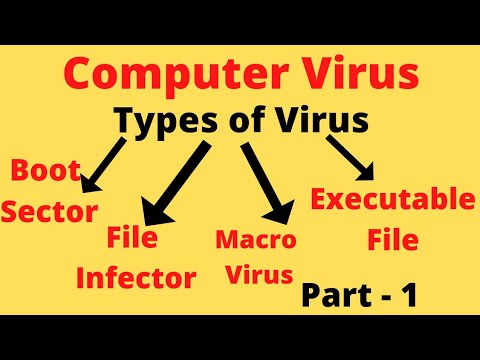 what is a computer virus? how many types of viruses? Explain types of viruses. full form of virus.