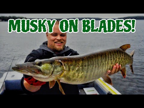 Blades Catch Fish!