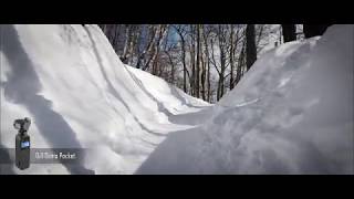 3 Meilleurs Sentiers De Randonnée à Trois-Rivières, QC ...