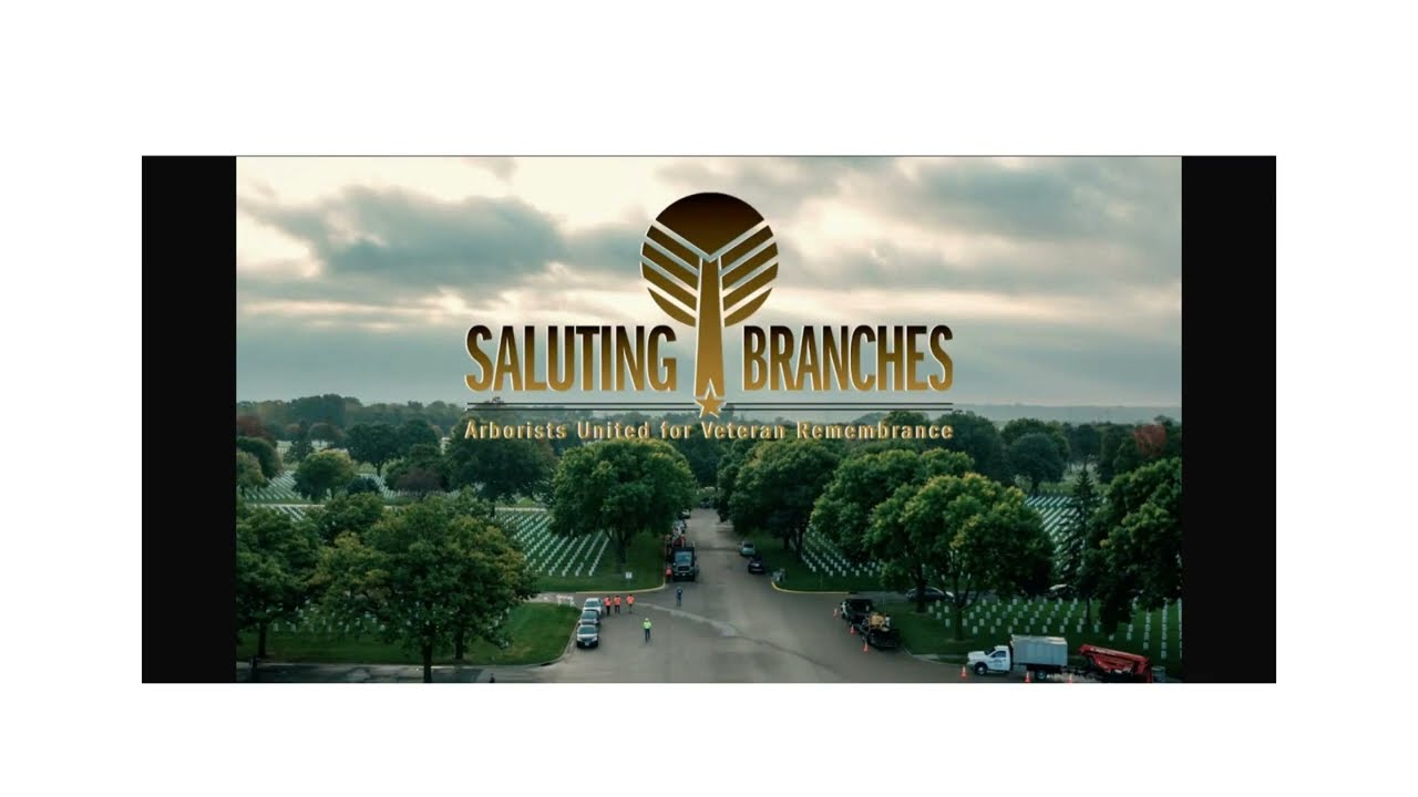 Saluting Branches TreePlotter App Tutorial