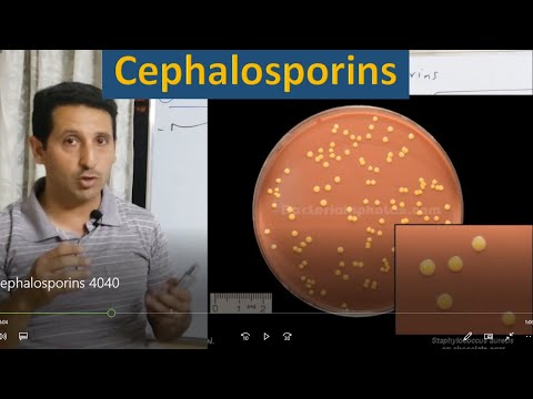Antibiotics | 4 | Cephalosporins (mechanism, uses, side effects)