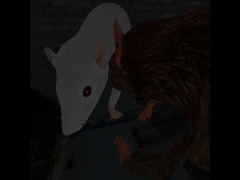 Playing scamper vr a terrifying horror game 
