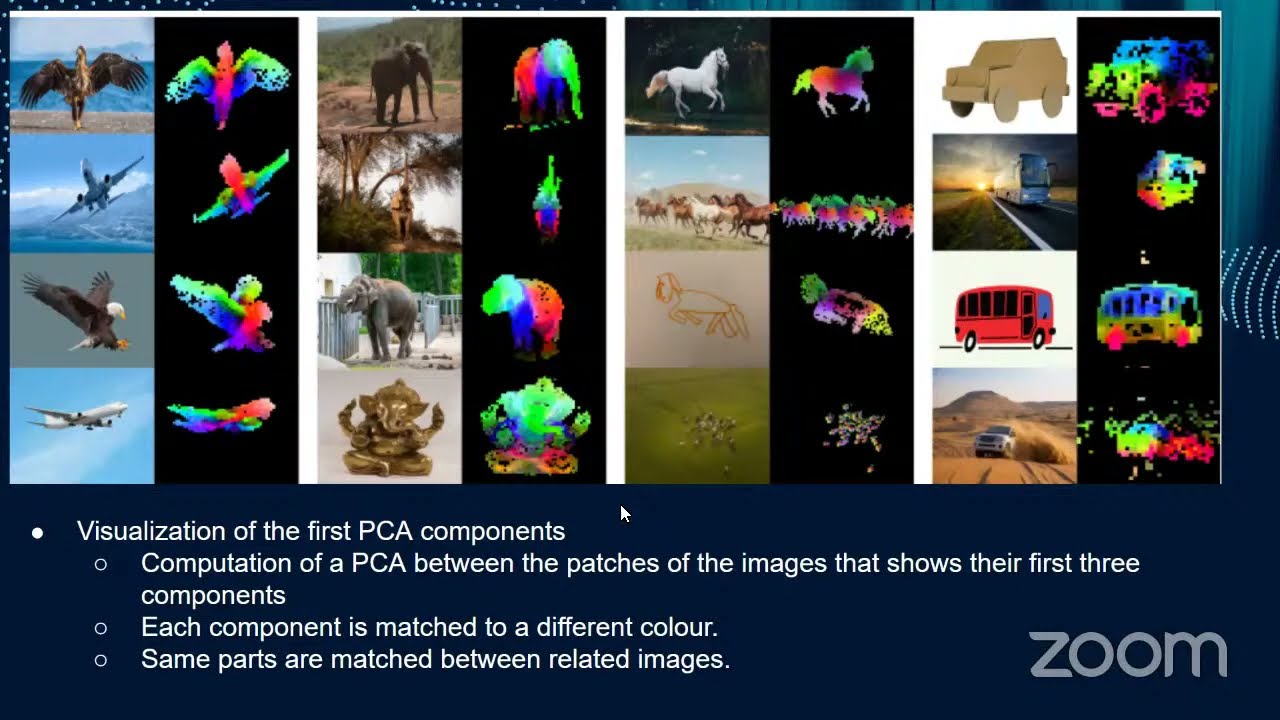 Fellowship: DINOv2, Learning Robust Visual Features without Supervision