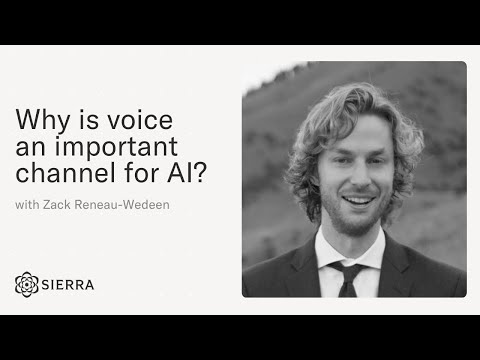 Why is voice an important channel for AI?