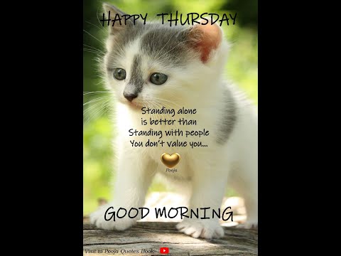 THURSDAY QUOTES /GOOD MORNING IMAGES /WHATSAPP STATUS/WHATSAPP DP PHOTOS/BEAUTIFUL IMAGES