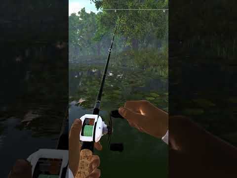 Gra Fishing Planet na PC jak łatwo złapać zieloną żabę 🙂