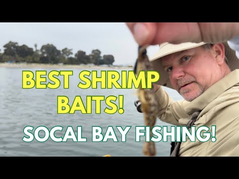 Southern California Bay Fishing: Exploring Shrimp Baits!