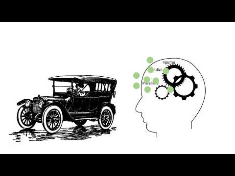 Cognitive Load Theory 1 - An introduction