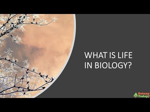 What is Life in Biology Characteristics of Living Organisms and Acellular Life and Cellular Life