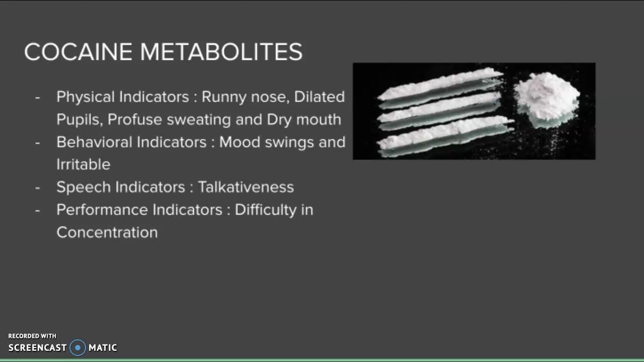 SATC 230 Supervisor Training Module 4