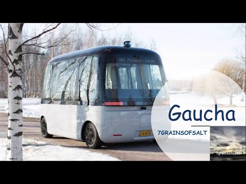 Gaucha