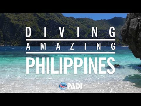 Diving the Amazing Philippines 🦈
