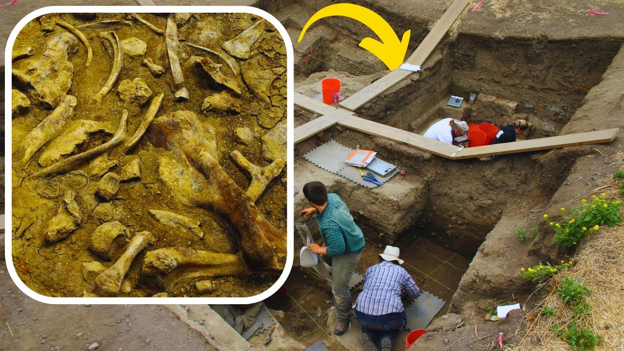 Canada’s Most Important Archaeological Discoveries