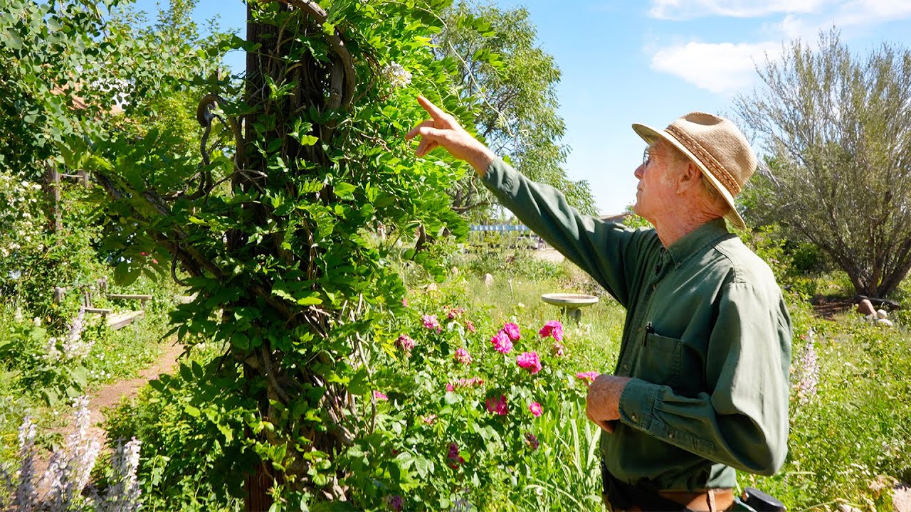 Xeriscape Garden Tour with Drought Tolerant Plants by Mikl Brawner of Harlequin's Gardens