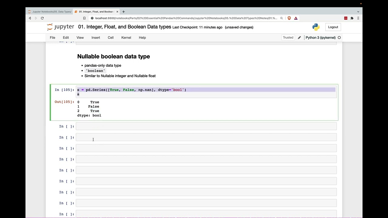 10 Nullable Boolean Data Type