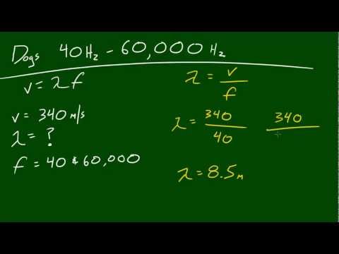 Physics Lecture - 43 - Frequency Range for Dogs