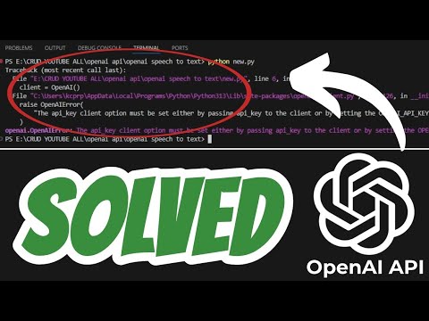 OpenAIError api_key to the client or by setting OPENAI_API_KEY environment variable SOLVED in Python