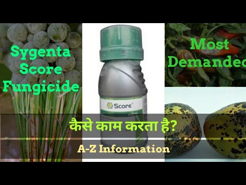 Syngenta Fungicides - Latest Price, Dealers & Retailers in India