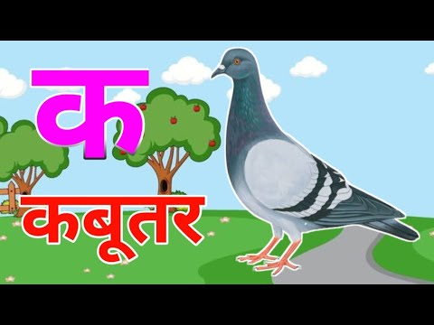 अ से अनार, आ से आम, हिंदी वर्णमाला, ka se kabutar, a se anar, aa se aam, हिंदीस्वरब्यंजन #kidssong