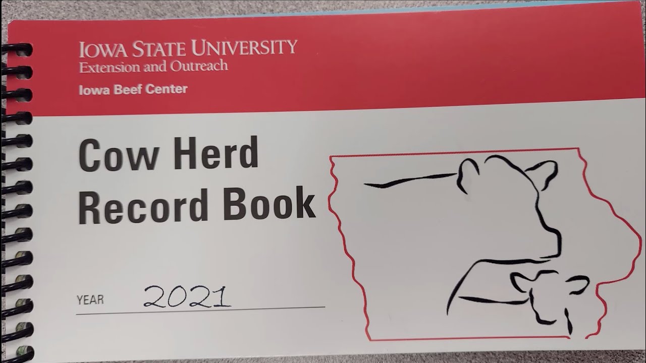 Cow Tip Tuesday Calving Book