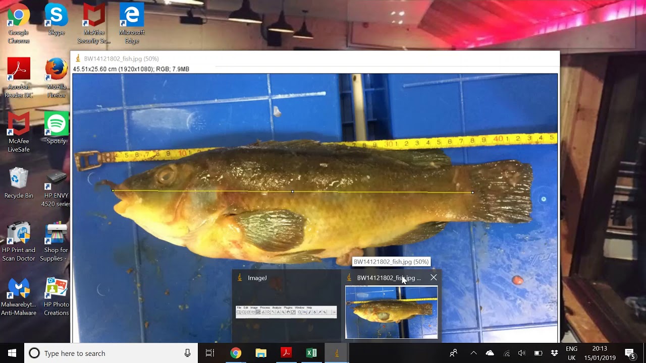 Morphometric walkthrough