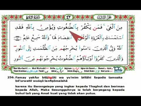 Surah Al Baqarah 255-257 toha aljunayd