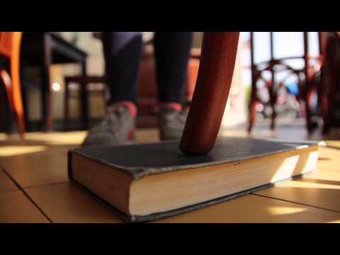 The Leiden Experience: A Book's Life