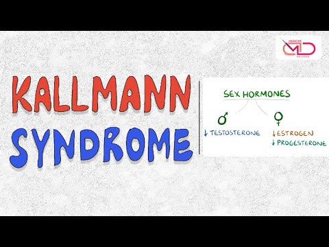 Kallman Syndrome | What is Kallmann Syndrome: Pathophysiology & Clinical Picture | Shonali Chandra