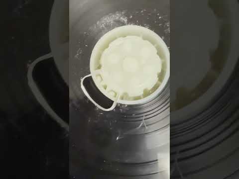 Dead Bugs Inside a VHS Tape #videotape #retro #videocassette