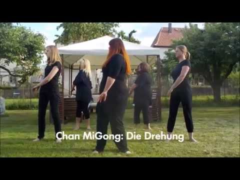 Heil-Qi Gong: Chan MiGong