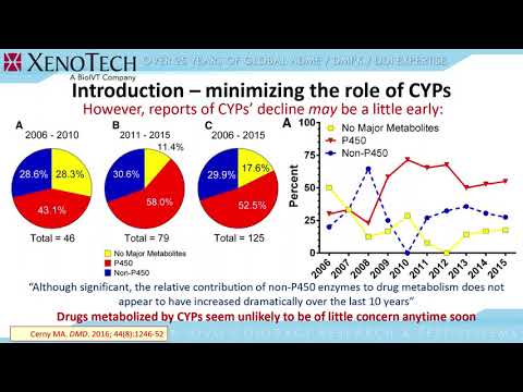 An Overview of Non CYP Mediated Metabolism Pathways and In Vitro Evaluation Strategies