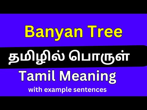 Banyan Tree meaning in Tamil/ Banyan Tree தமிழில் பொருள்