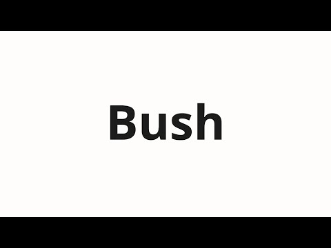 How to pronounce Bush