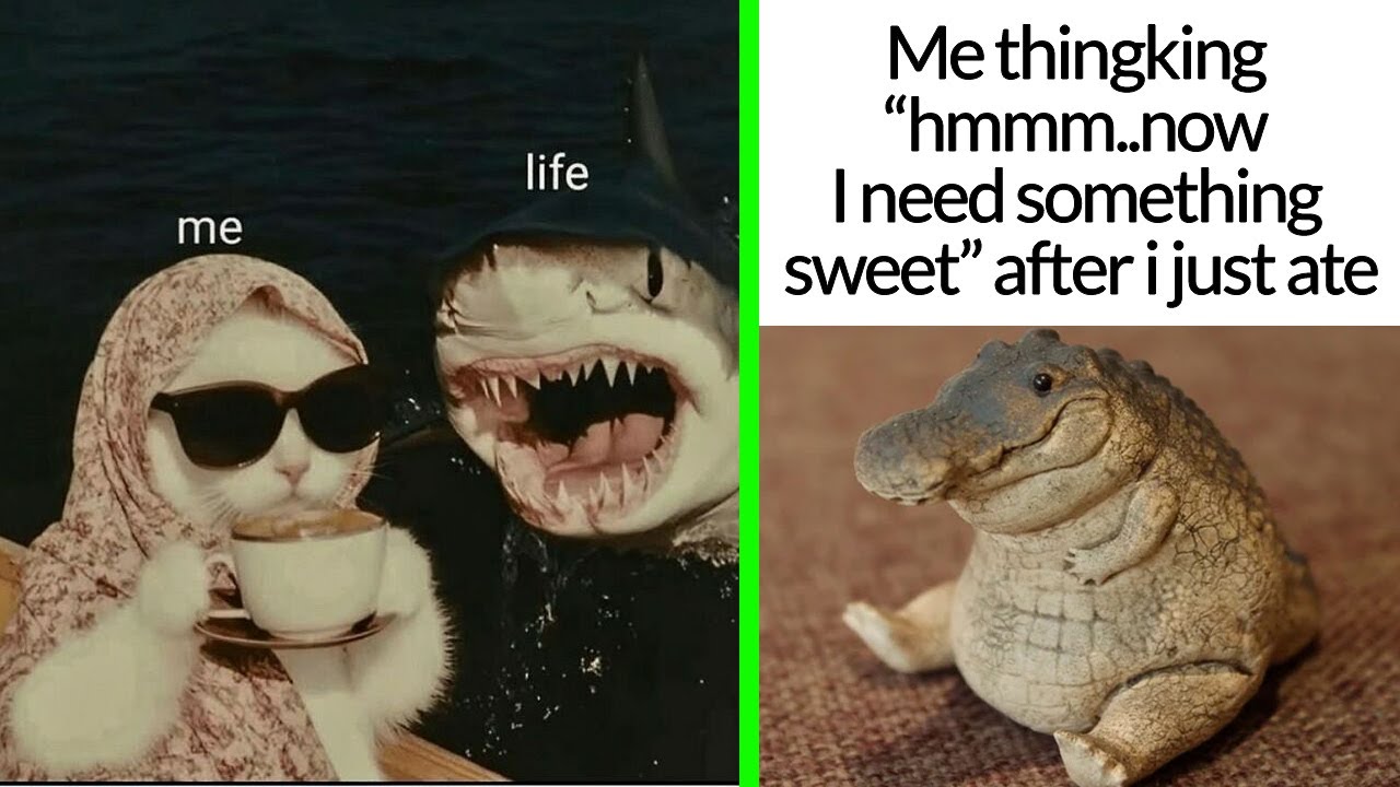Relatable Memes To Help You Avoid Your Responsibilities Like A Pro