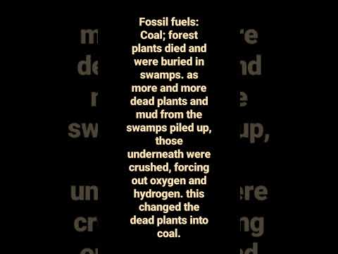 fossil fuels (Coal)