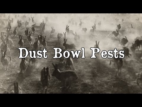 History Brief: Dust Bowl Pests