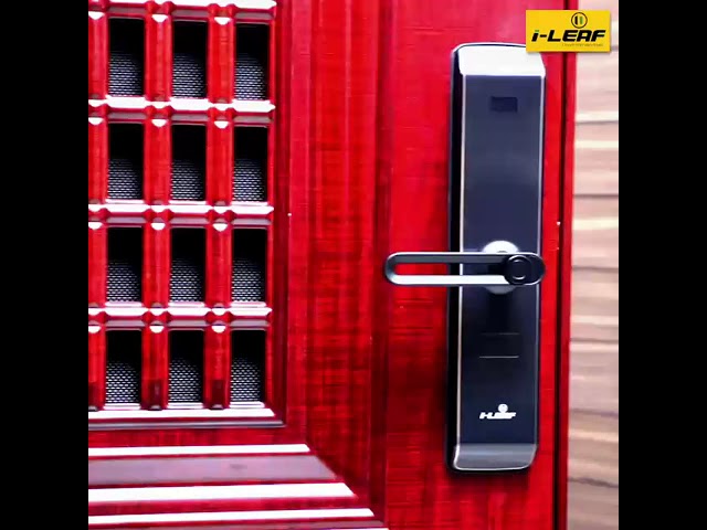 GI Doors - IL Gi 63 E Trader - Wholesaler / Distributor from Kochi