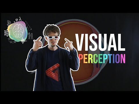 Visual Perception