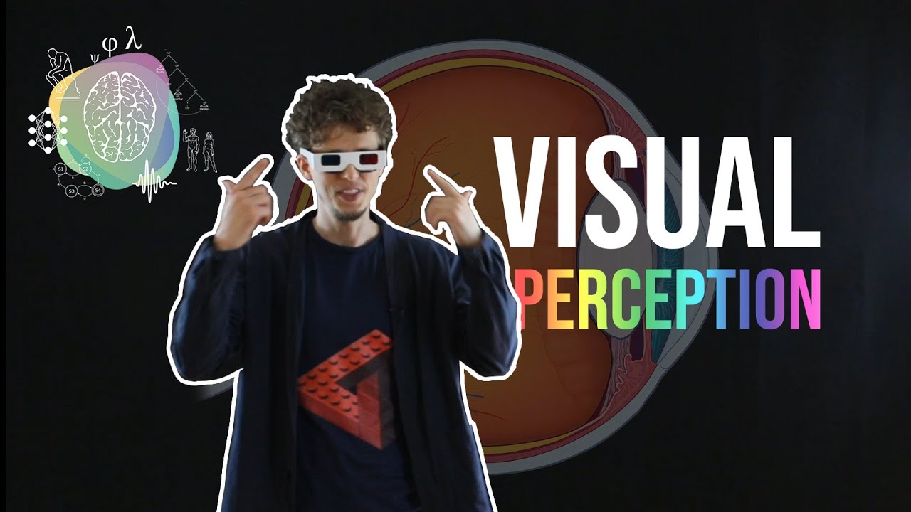 Visual Perception