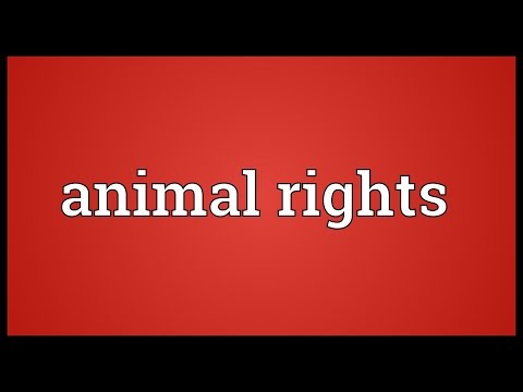 Animal rights Meaning