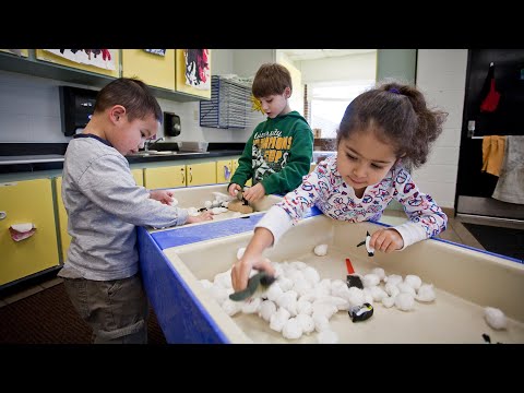 Early Childhood Development