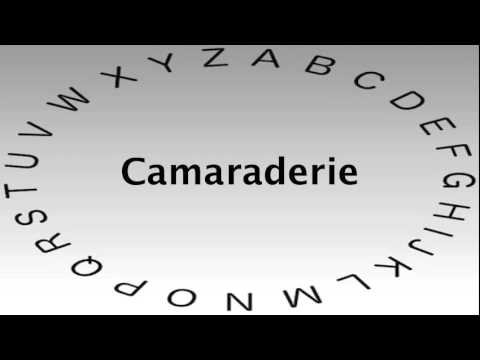 Spelling Bee Words and Definitions — Camaraderie